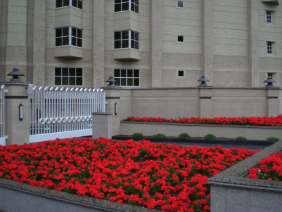 TEKA Illumination - Home