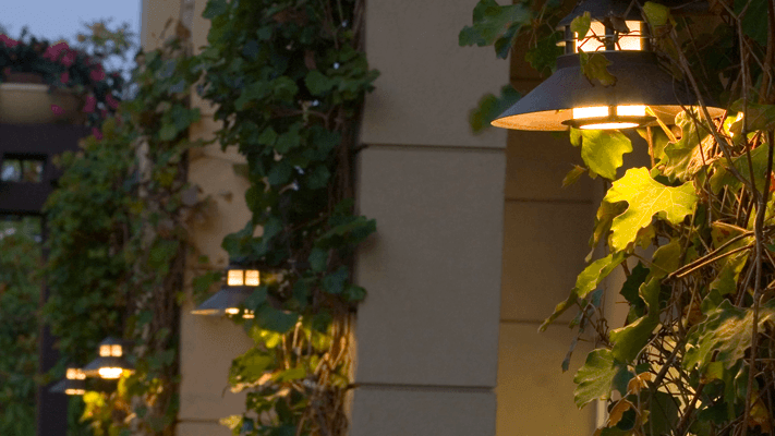 Architectural Surface : Beacon Wall Mount Solid State (BKSSL®) (BWM)