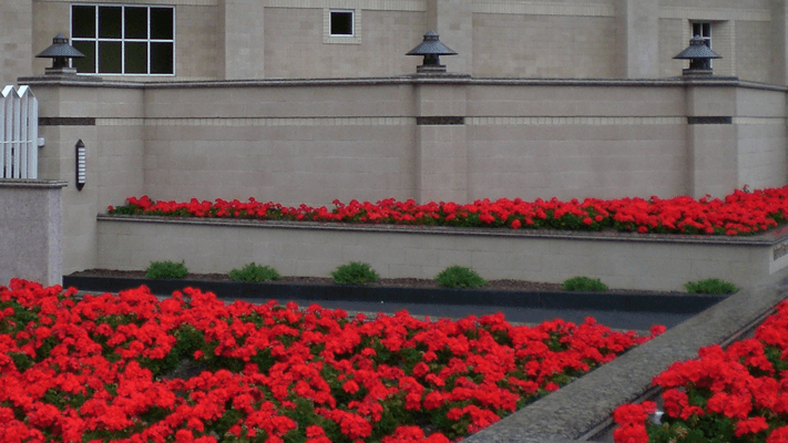 Low Level : Large Beacon Pillar Solid State (BKSSL®) (LBL)