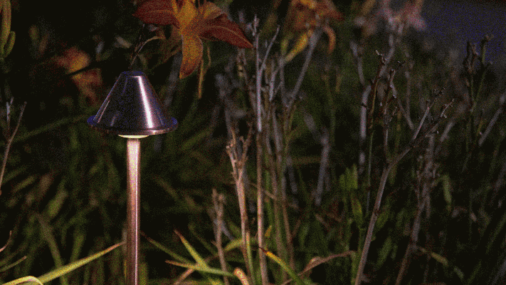 Pathlights : High Light™ Series Classic Path Light (BKSSL®) (HLP-C)